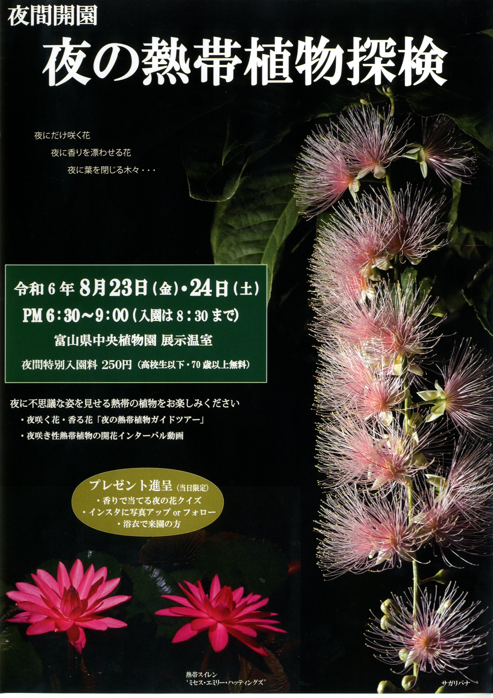 イベント｜とやま学遊ネット